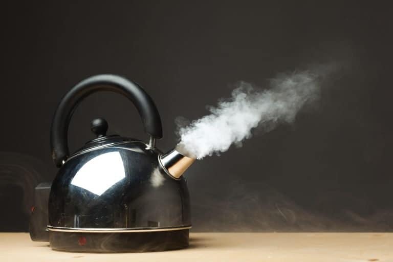 How to Use a Tea Kettle (Easy Guide) - I Live for Greens