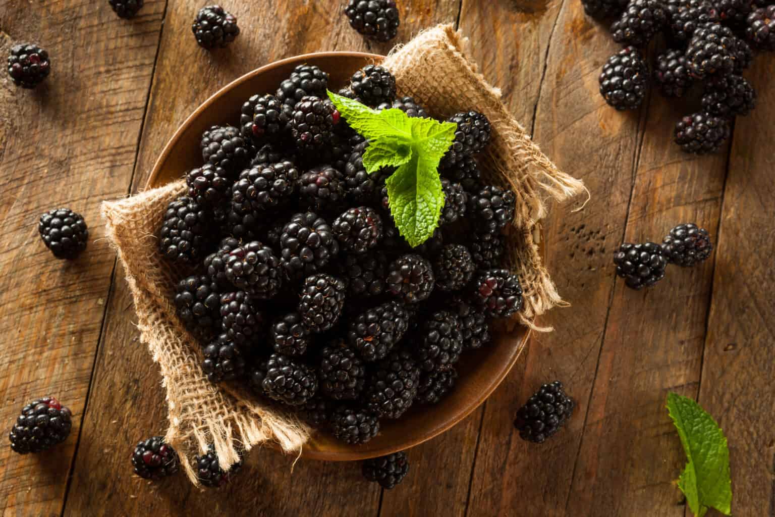 Blackberry Raspberry Smoothie - I Live for Greens